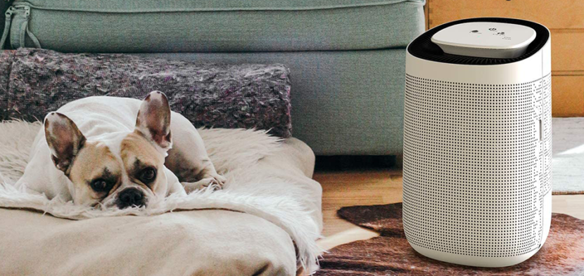 8 Best Water Based Air Purifier Reviews [Choice of 2021]