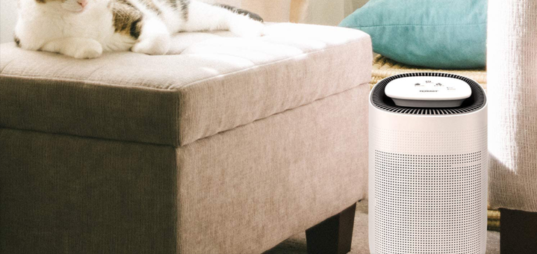 Best Dehumidifier and Air Purifier (Review) in 2021 – Top 5 Picks!